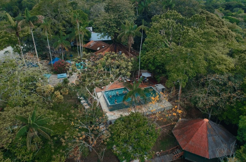 Saiba como ganhar um final de semana com tudo incluso no Jungle Hotel ...